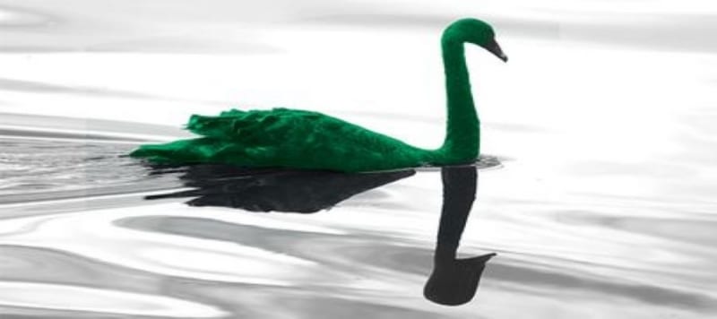 The Green Swan Toolkit: Four priorities to ensure financial stability ...